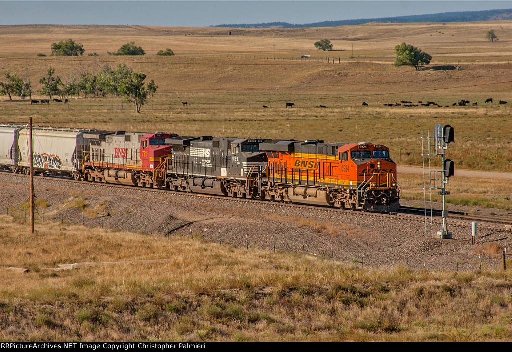 BNSF 6924, NS 9199, & BNSF 781 Lead H-PASGAL9-14